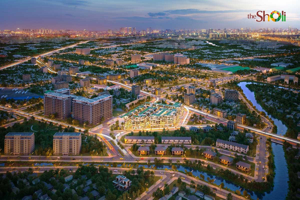 The Sholi - Thông Tin, Giá Bán 2025